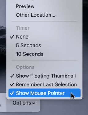 How to Hide Cursor When Screen Recording (2026 Guide)