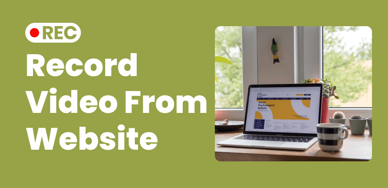 How to Record Video from Website for Free (Online & Desktop Solution)